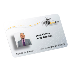 Inicio - BrumBee