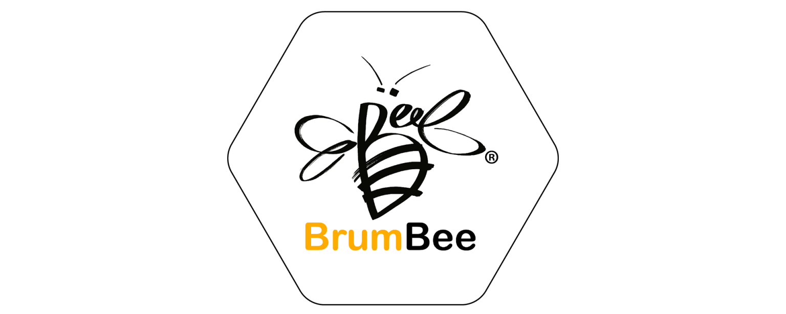 Inicio - BrumBee
